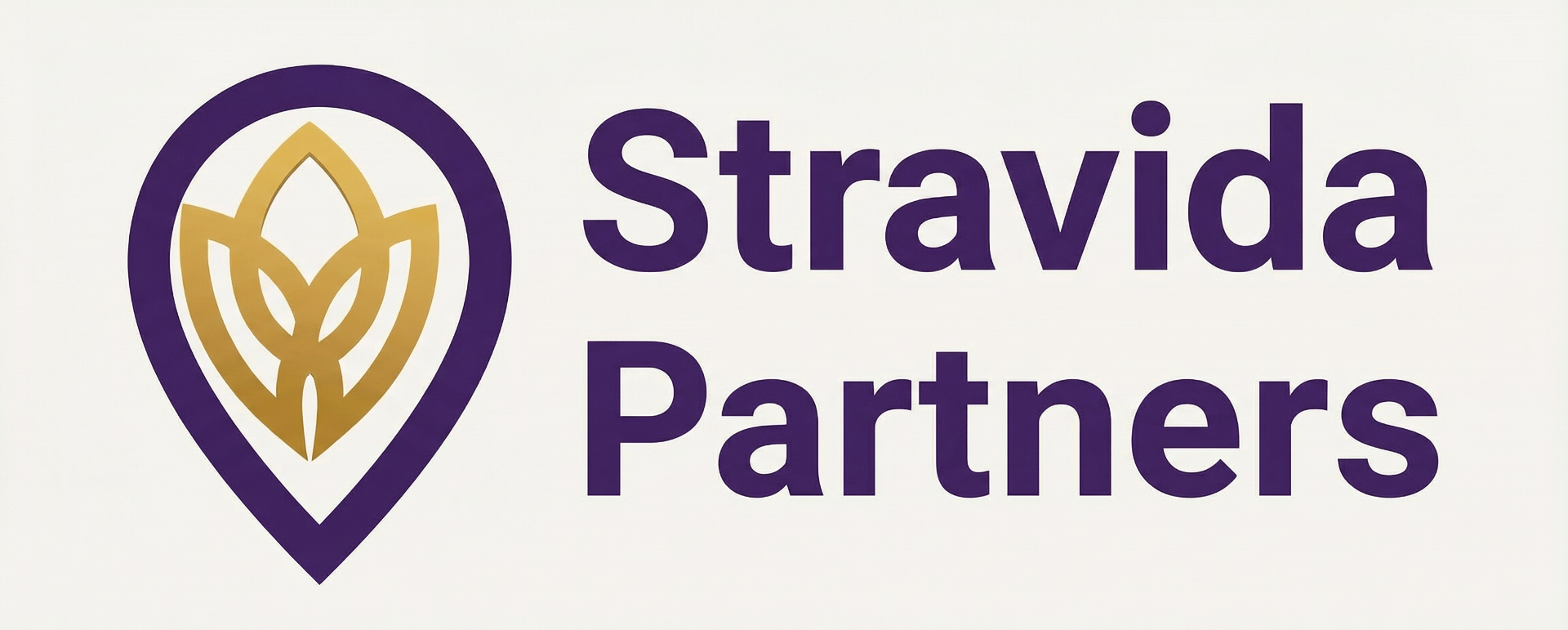 Stravida Partners - Healthcare Consulting & Growth Solutions